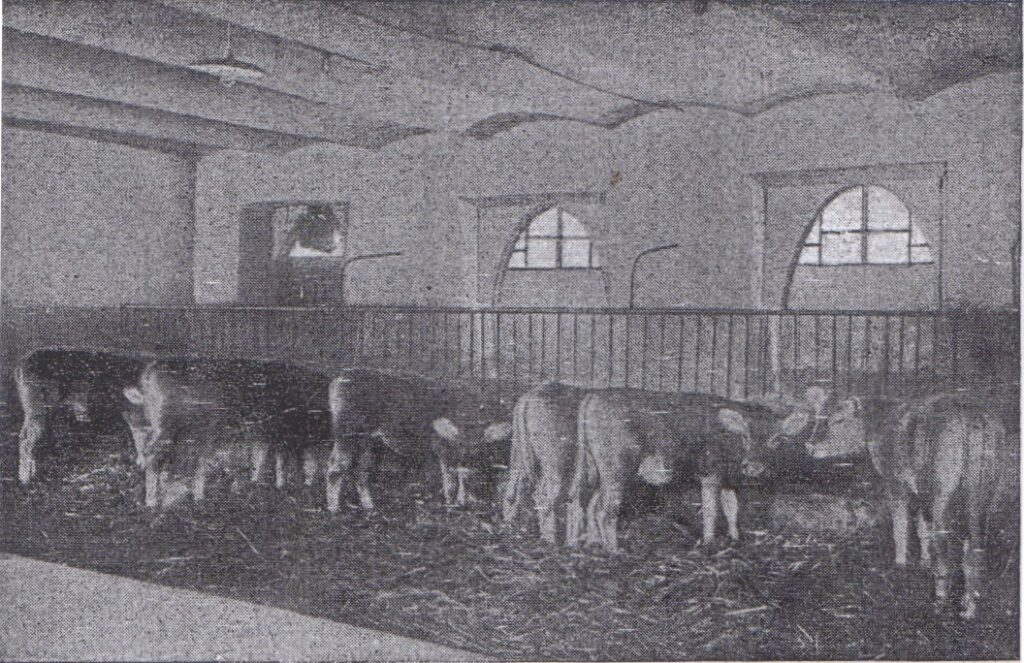 Cenni Storici - Agriturismo Padernello