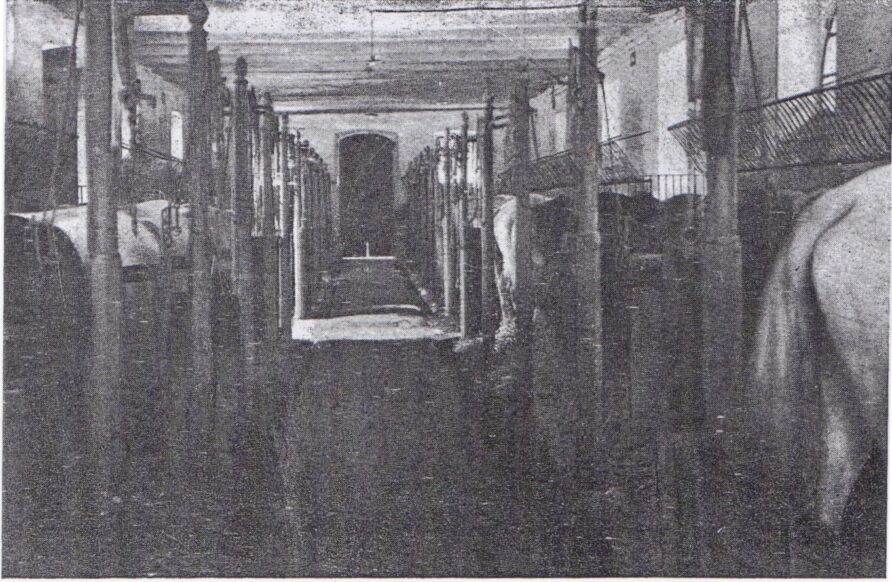 Cenni Storici - Agriturismo Padernello